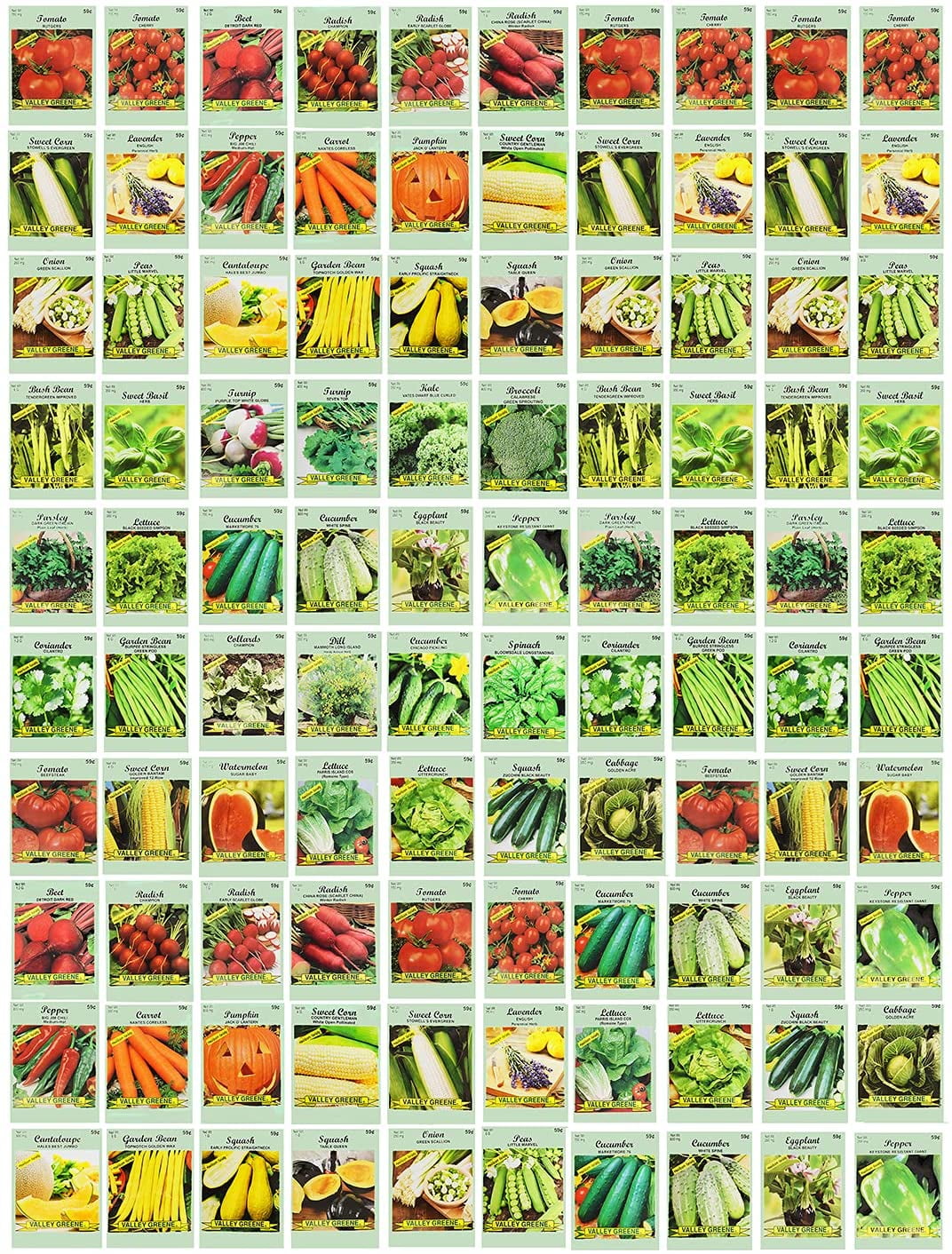 100 Assorted Heirloom Vegetable Seeds 100% Non-GMO (100, Deluxe ...