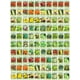 100 Assorted Heirloom Vegetable Seeds 100% Non-GMO (100, Deluxe ...