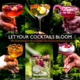 MILLIN Cocktail Garnish Gift Set – Edible Flowers & Dehydrated Fruits ...