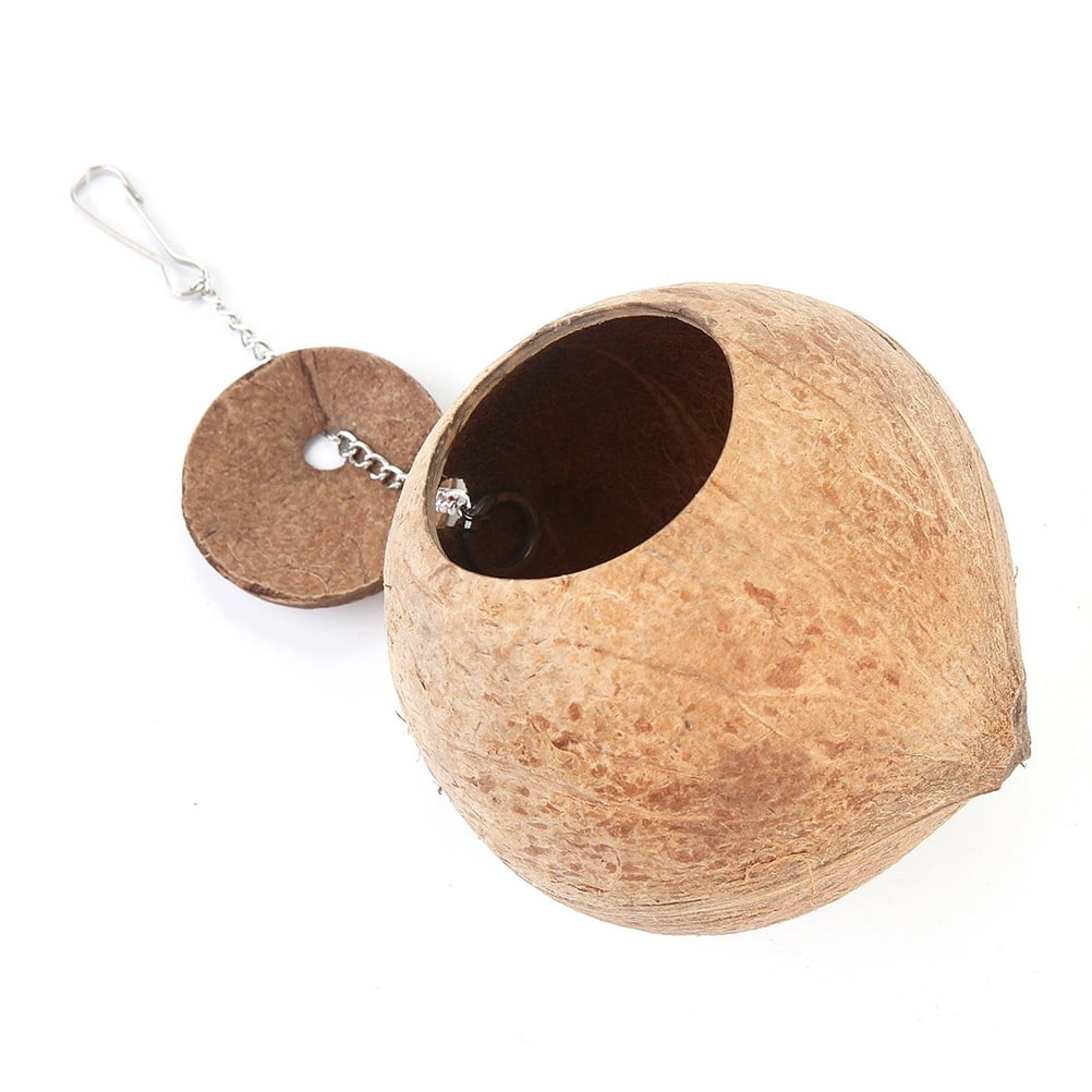 Nido de pájaro de cáscara de coco Natural, juguete alimentador de ...