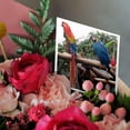 3drose, Rainbow Birds in Peru Animals Travel, 6 Greeting Cards with ...