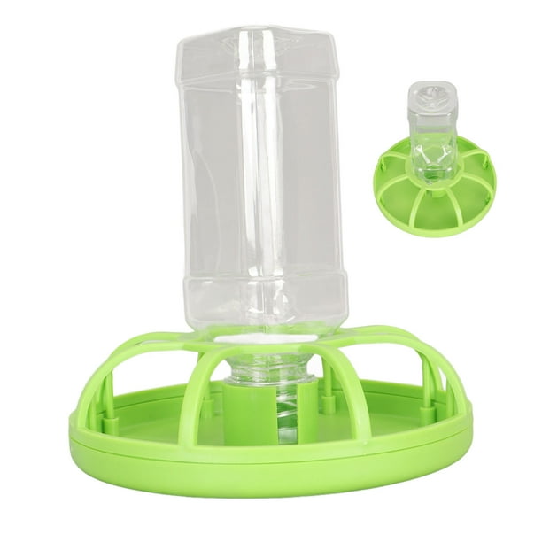Tortoise Water Bowl, Reptile Water Dispenser Automatic Refill Cute ...