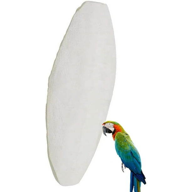 LAICAIW 10 Pcs Bird Cuttlebone Toy | Chewing Cuttlefish Bone Chew Toy ...