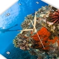 3drose, Molokini Crater Near South Maui, Hawaii, Usa, 10x10 Wall Clock ...