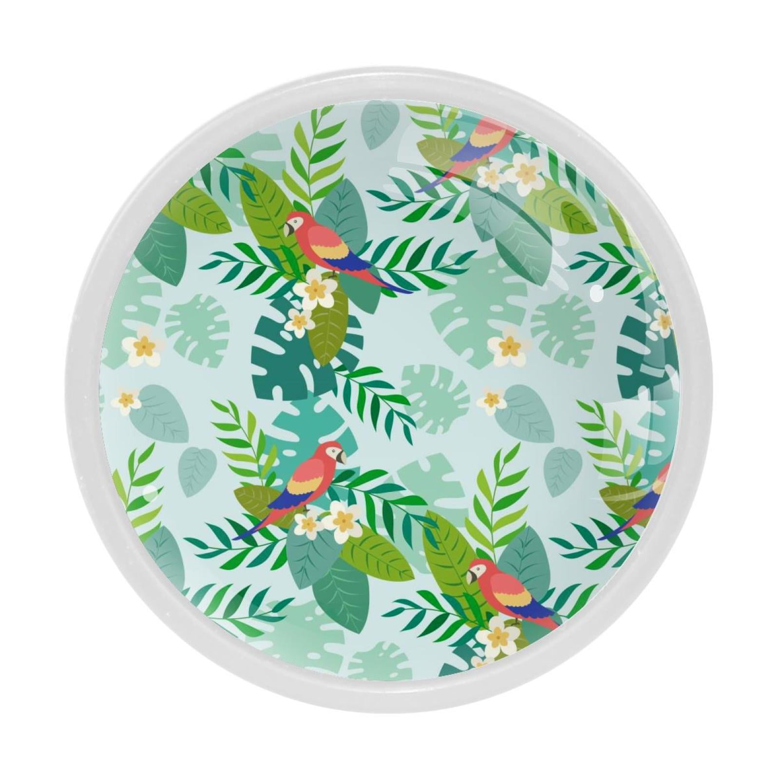 4 Pcs Parrot Knobs for Kitchen Cabinet Cupboard Dresser Bookcase Drawer ...