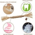 Cat Pixie Sticks, Silvervine Sticks for Cats, Natural Silvervine Dental ...
