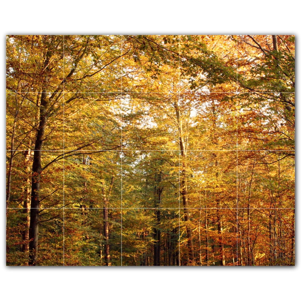 Picture-Tiles.com: Trees Ceramic Tile Wall Mural WAL501017-54XL. 60"W x ...