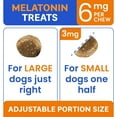 BARK&SPARK Extra Strength Melatonin Calming Chews for Dogs Sleep - 6mg ...