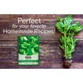 Genovese Basil Seeds - Walmart.com