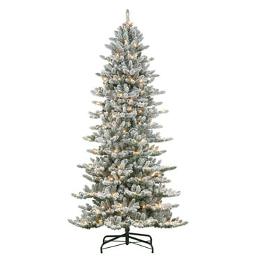 6.5 ft Pre-lit Flocked Slim Royal Majestic Douglas Fir Tree 350 Clear ...