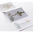 DaySpring, Christmas Cards, Tree to Cross 5-Panel 18 Count, Premium ...