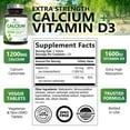 Nature's Calcium 1200mg & Vitamin D3 1600 IU - Bone & Immune Support ...