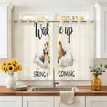 Cartoon Groundhog Sheer Curtains 39 Inch Long 2 Panels, Wake Up Spring ...