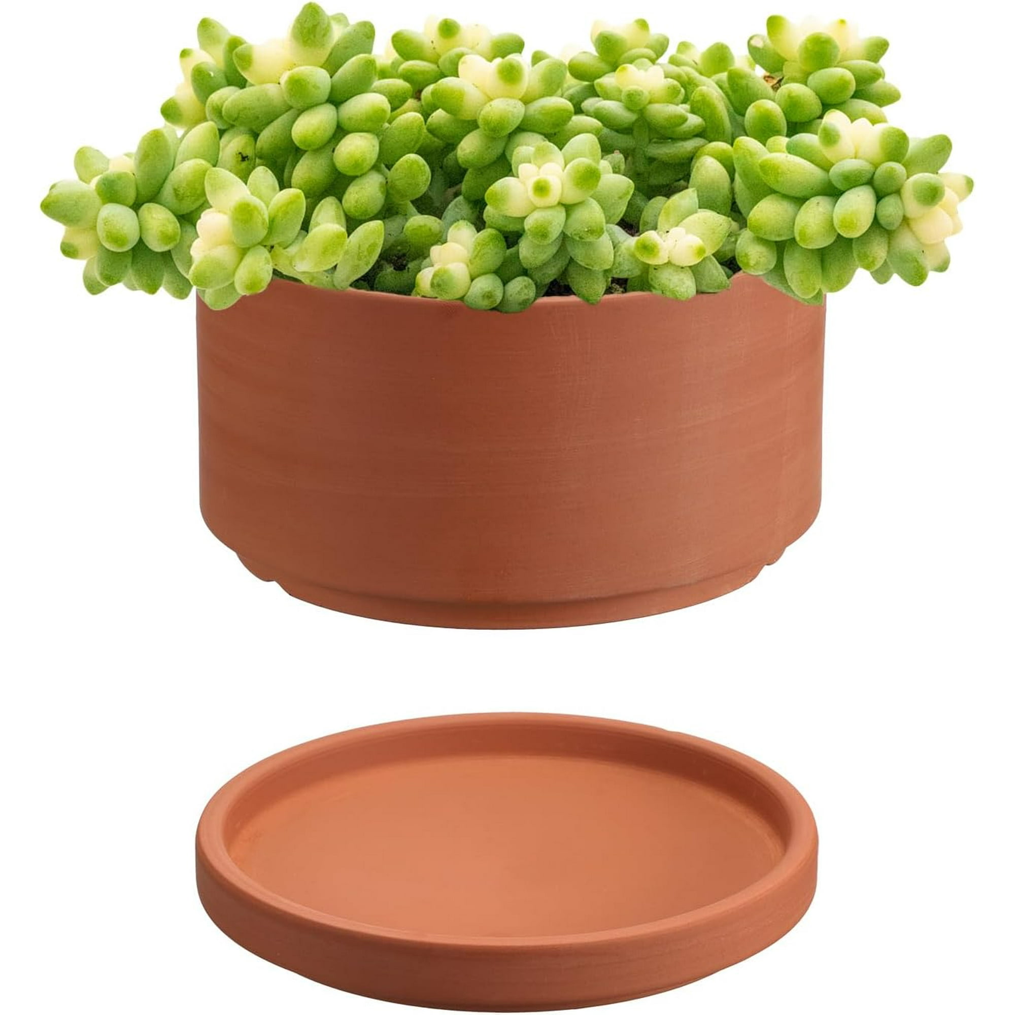 Click here for Siabc-6 Inch Succulent Planter Pot With Drainage H... prices