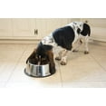 (Set of 2) - Non-Skid Spaniel/Cocker Bowl for dog - 64 oz - 8 cup ...