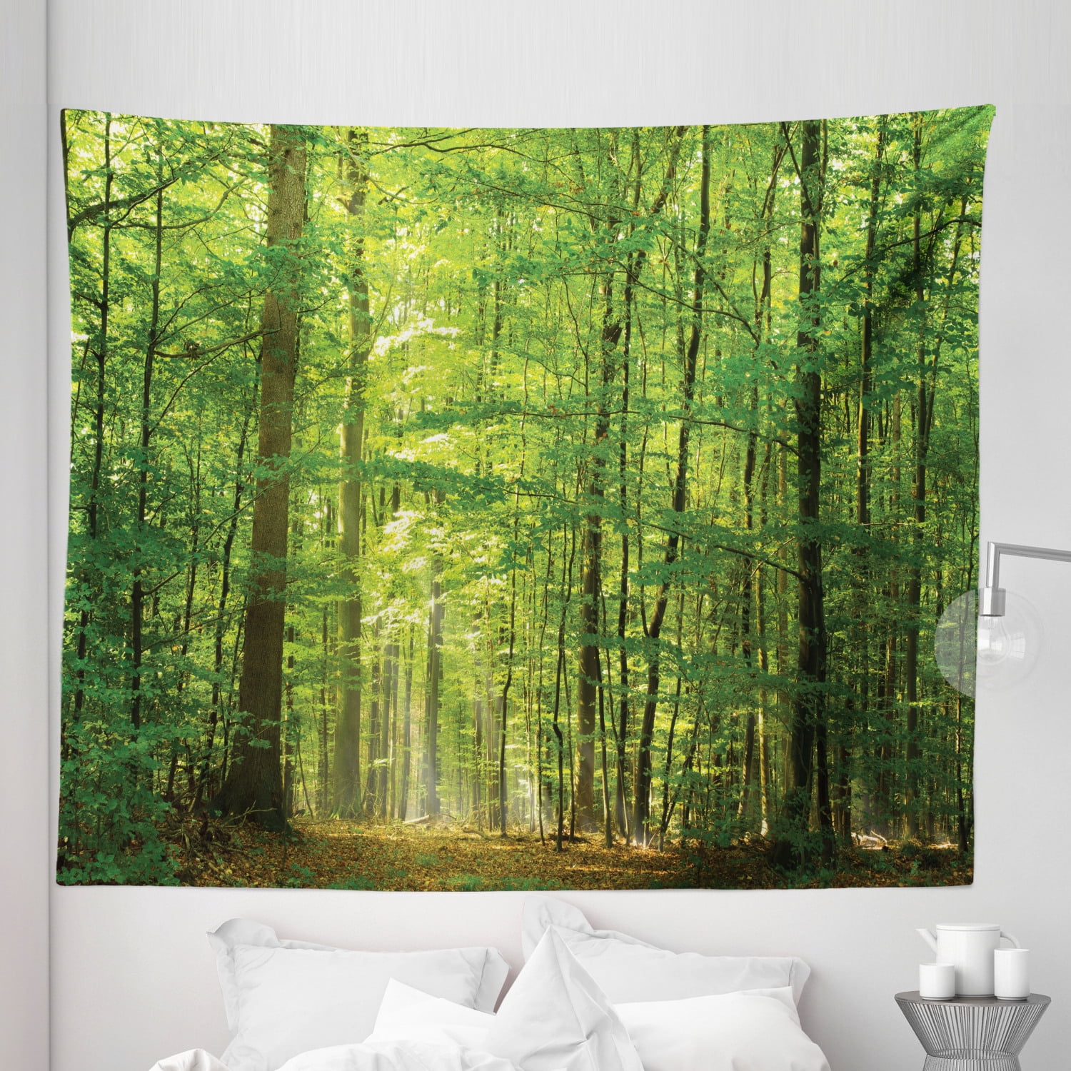 Woodland Tapestry, Deciduous Forest Trees in Summertime Foliage Sun ...