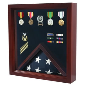 Deluxe Acrylic Five (5) Medals or Ribbons Award Display Case with Wall ...