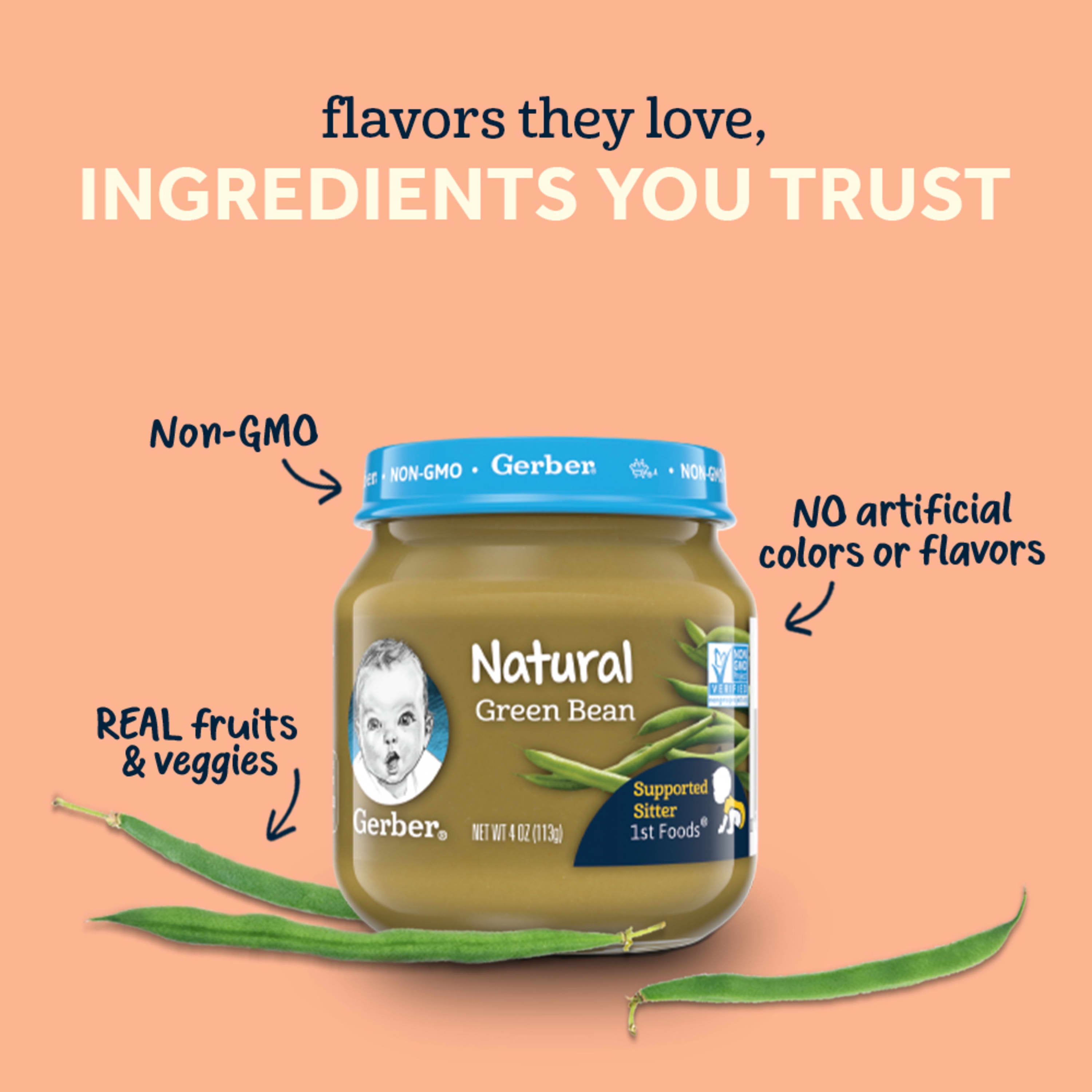 Gerber 2nd Foods Baby Food, Puree Classics, Chicken and Gravy, Turkey ...