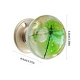 Crystal Door Knob, Clear Resin and Metal Decorative Handle for Cabinet ...