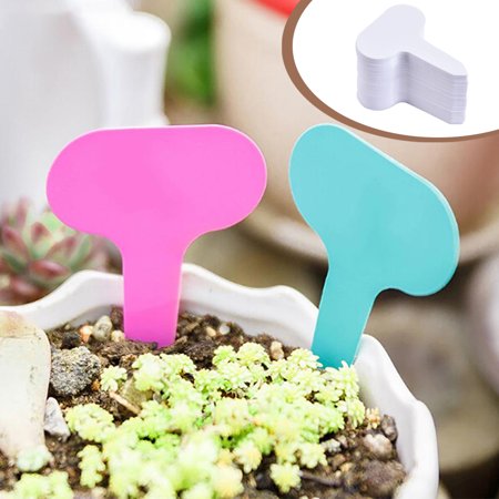 Pack of 100 Garden Seedling Label Seeds Tagging Cards Flowers Markers ...