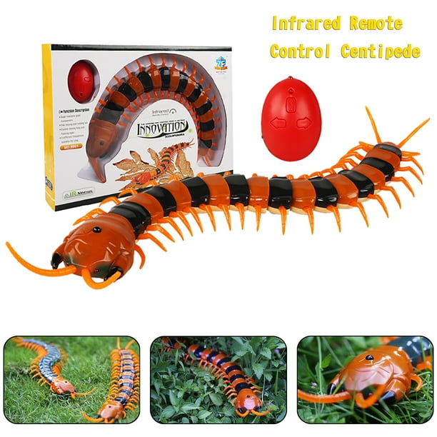 Centipede