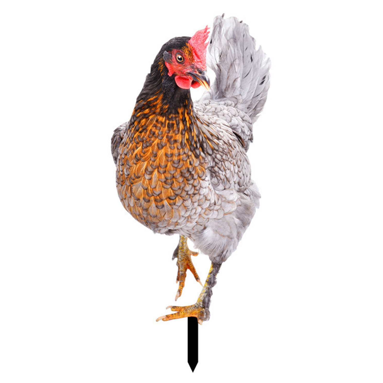 Juliy Rooster Decor Realistic Life-like Ornamental Double-sided ...