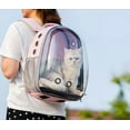 Walmart Astronaut Capsule Cat Backpack, Pink - Kitty Bag, Puppy Dog ...