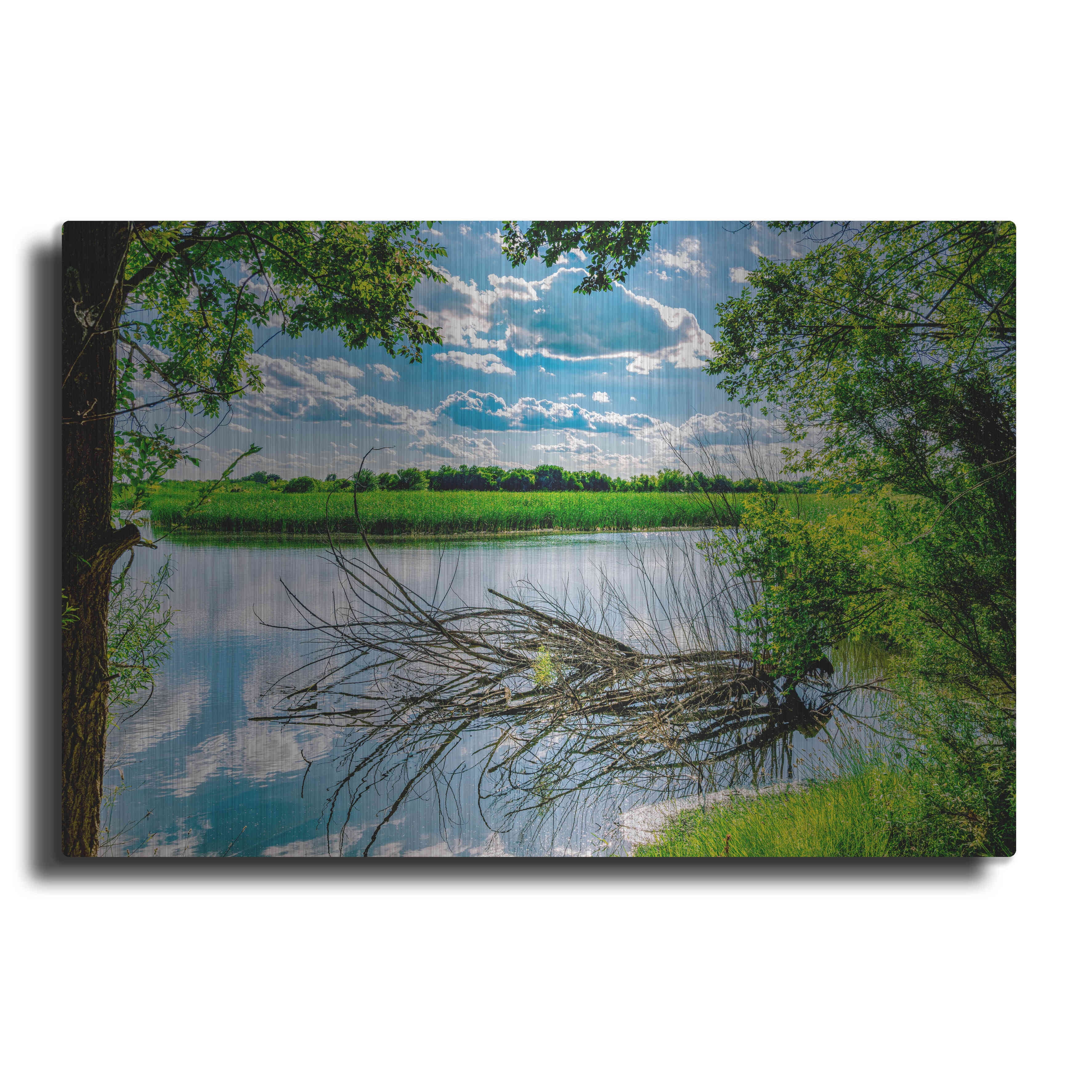 Luxe Metal Art 'Midland Reflections 2' by Grace Fine Arts Photography ...