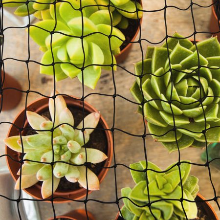 Garden Plant Grow Nets Climbing With 8 Hooks Support Trellis Netting ...