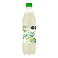 Refresco Sidral Aga sabor manzana 600 ml | Walmart en línea