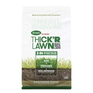 Americas Favorite Falcon IV Tall Fescue Grass Seed, 50 lbs - TWCA ...