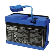 EverStart PowerSport Factory Activated AGM Motorcycle Battery, Group ...