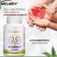 Renohelp Kidney Support Supplement - with Vitamin E, B6, Birch Leaf ...