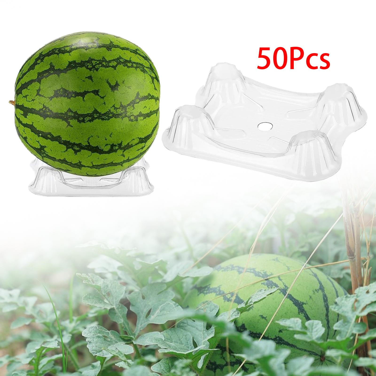 50x Melon Cradle Plant Garden Cradles Protection Rack Holds up to 20 kg ...