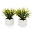 Essentra Home Square Succulent Planter Set of 2, White Stone Pots with ...
