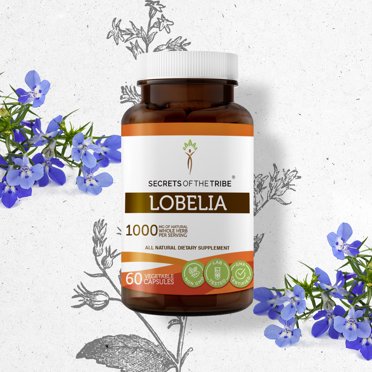 Lydia Pinkham Herbal Supplement Tablet, 150 Ct - Walmart.com