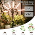 2025 6-Head Table Top Grow Lights for Indoor Plants, Seed Starting ...