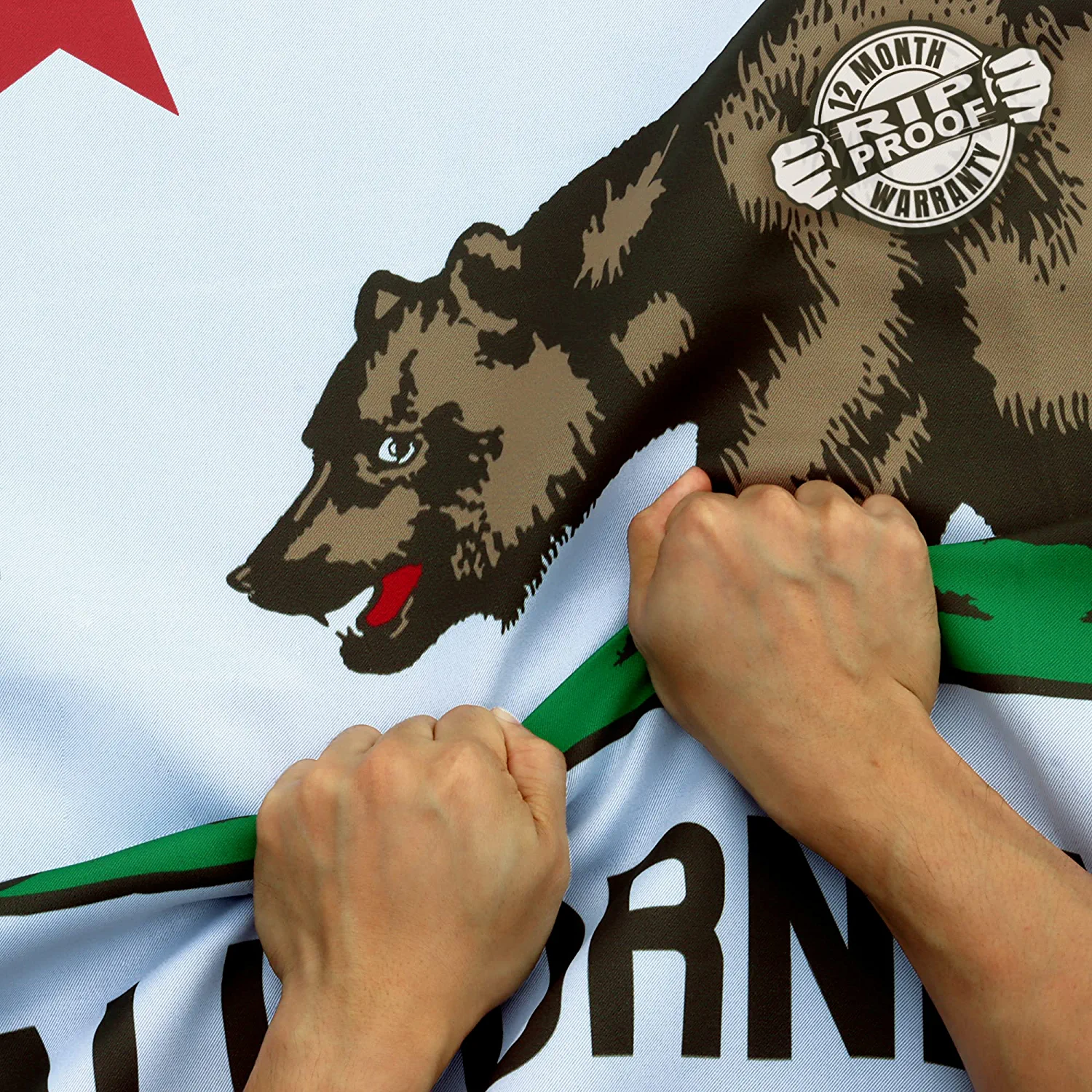 Anley Rip-Proof Double Sided 3-Ply California State Flag 3x5 Foot ...