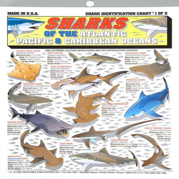 Tightline Publications Shark Identification Chart - Walmart.com ...