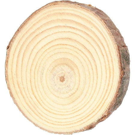 Round Pinewood Slabs, Natural Wood Slices Unfinished Craft with Tree ...