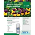 Attain TR Micro Total Release Insecticide 2 Oz - Walmart.com