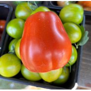 Tims Black Ruffles Heirloom Tomato Premium Seeds Packet - Walmart.com