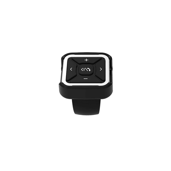 Remote Control Squirrel