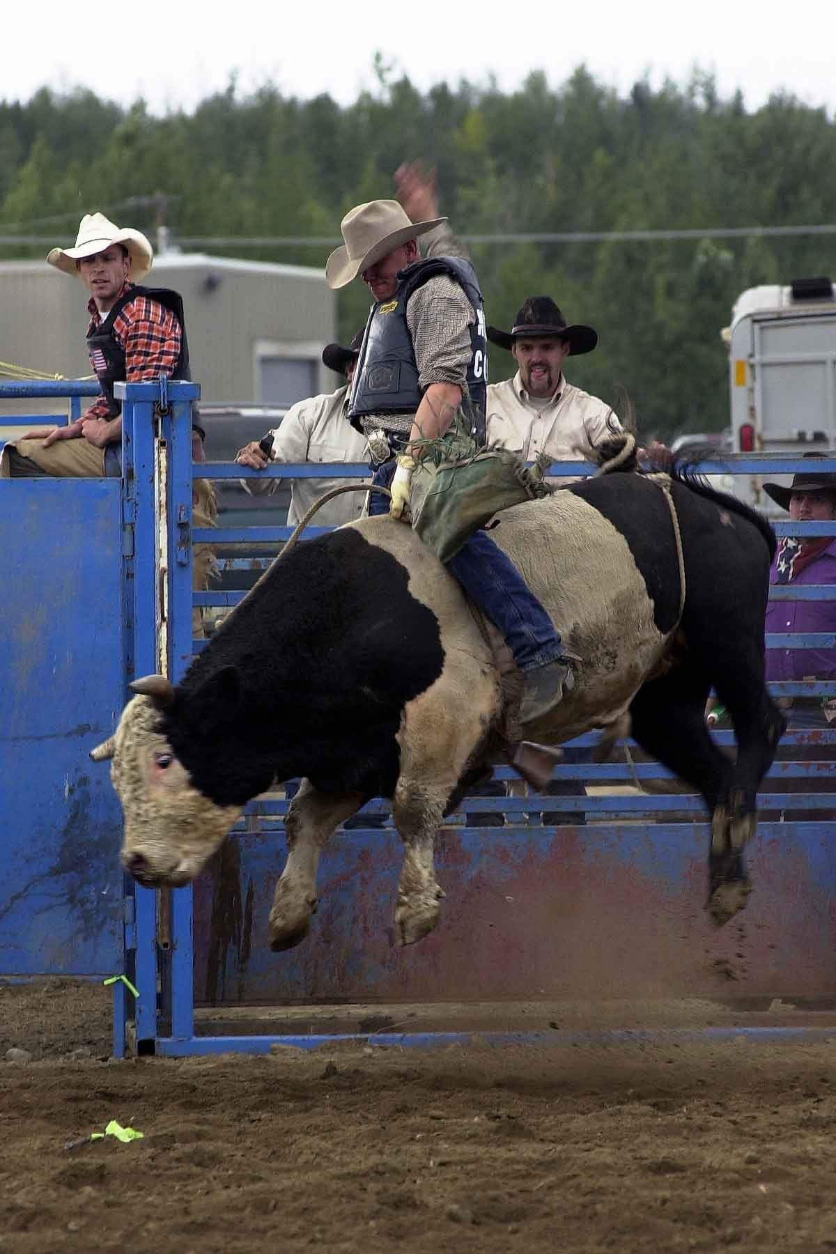 Searchlight GP Rodeo Glossy Poster - Walmart.com
