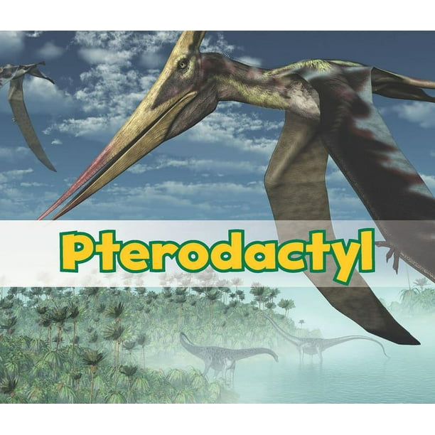 All about Dinosaurs: Pterodactyl (Paperback) - Walmart.com - Walmart.com