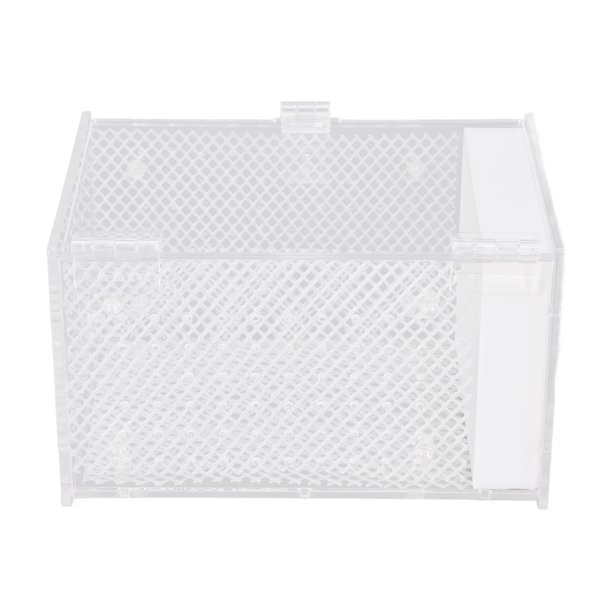 Rearing Box, Acrylic Insects Cage Easy Cleaning Feeding Hole ...