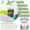 2 Quarts Organic Perlite for Plants - Horticultural Soil Amendment ...