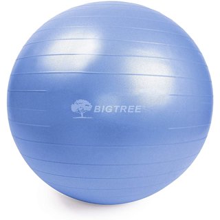 Calm 55 cm Anti-Burst Body Ball, Purple, Multiple Sizes - Walmart.com