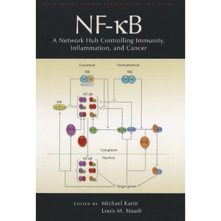 NF-kB , A Network Hub Controlling Immunity, Inflammation, and Cancer ...