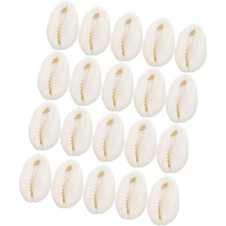 JOYWEI 40pcs 22mm Cowrie cowrie seashell white cowrie shell small ...